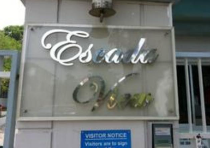 Escada View - Daniel Lee Property